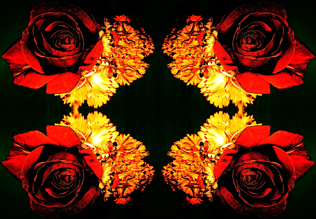 Angel Roses - Sherriehallartist