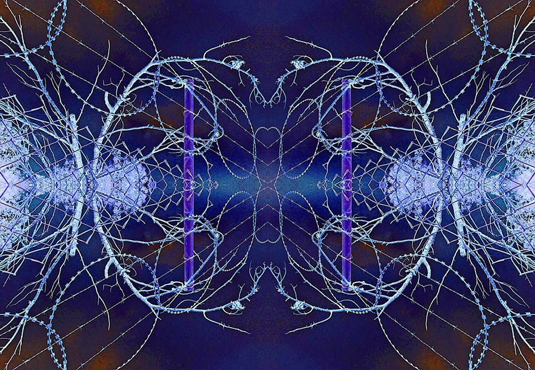 Electric Branch - Sherriehallartist