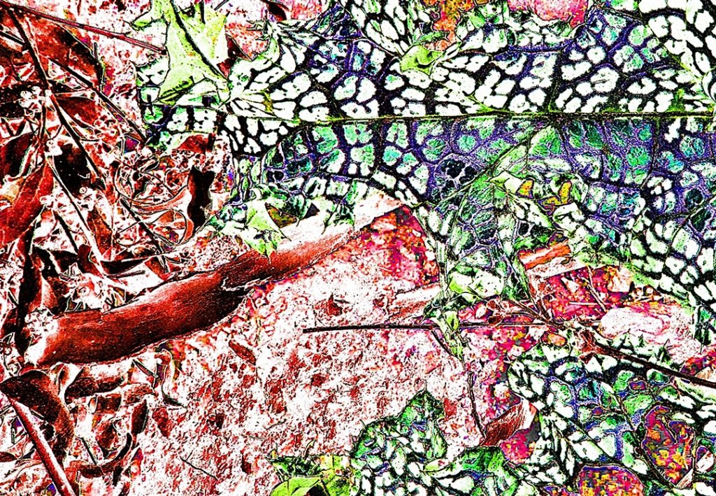 Magical Patterns - Sherriehallartist