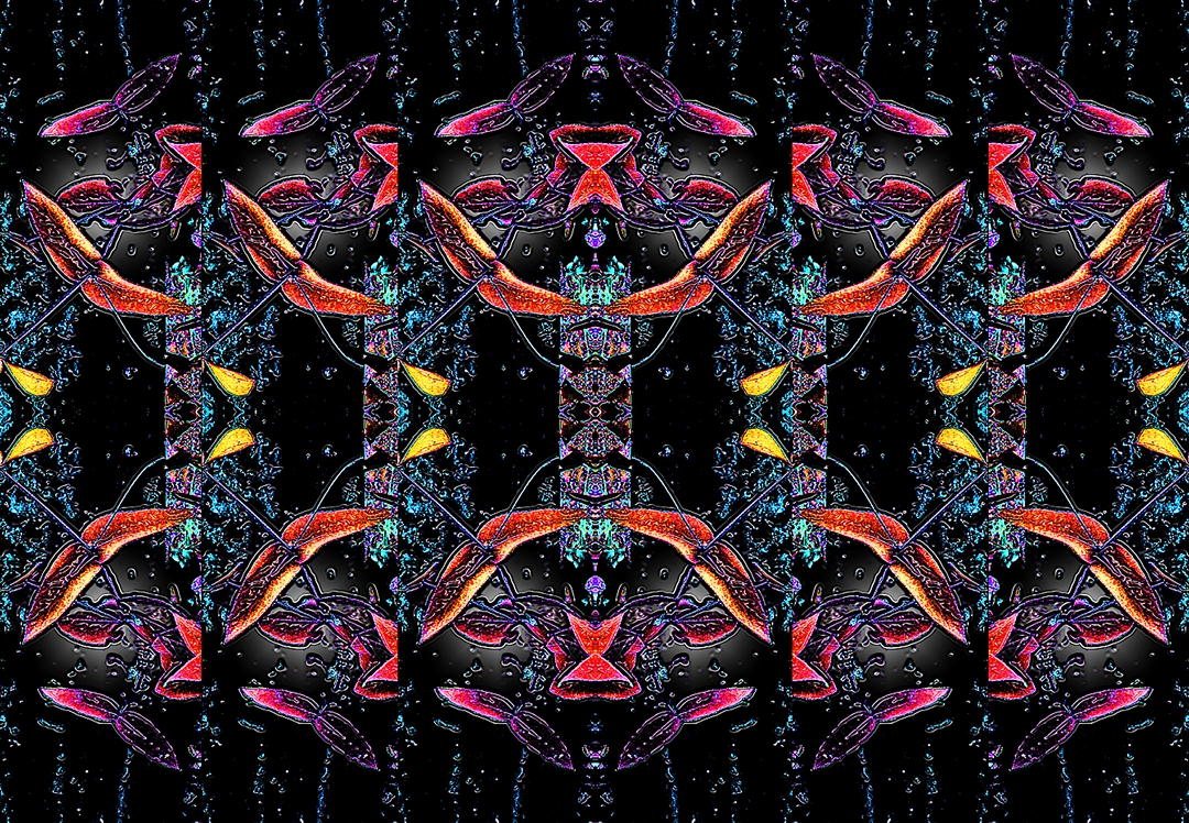 Shiny Black - Sherriehallartist