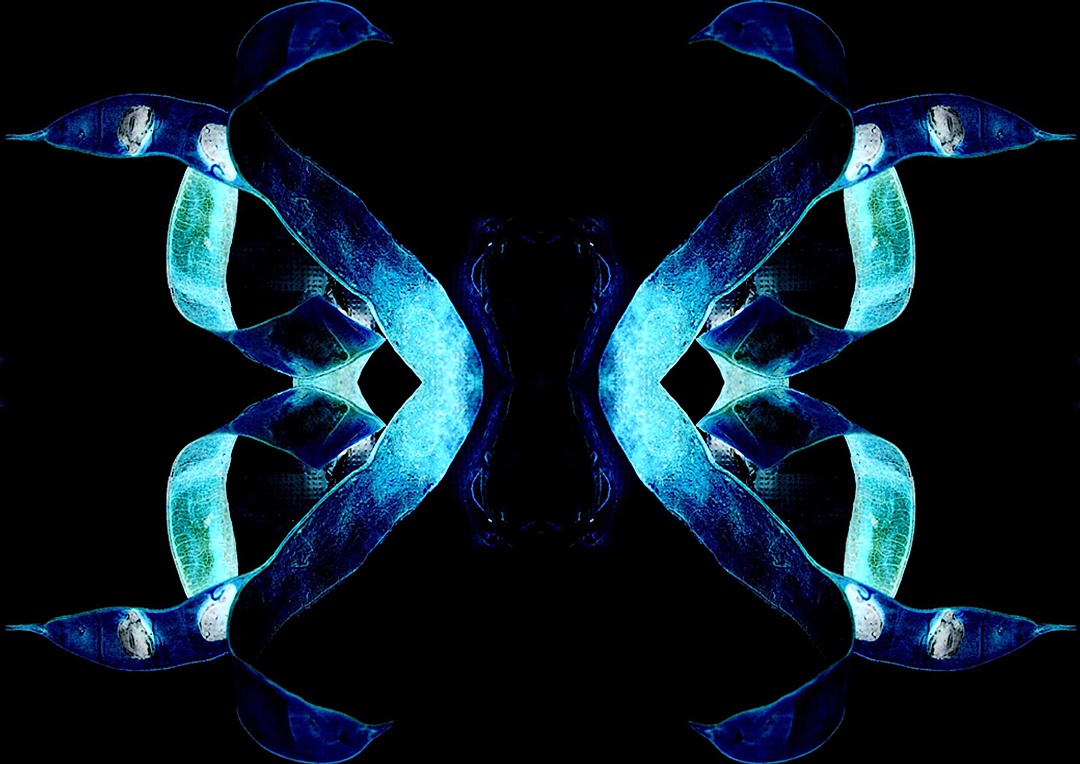 Blue Pods - Sherriehallartist