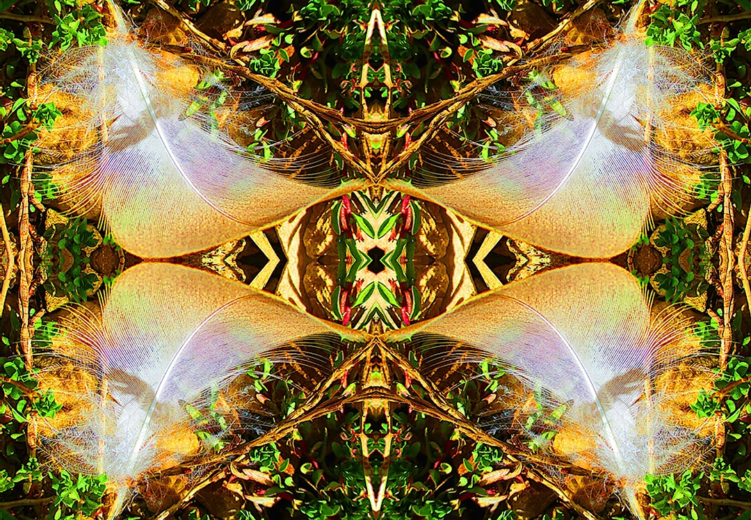 Feather Leaf - Sherriehallartist