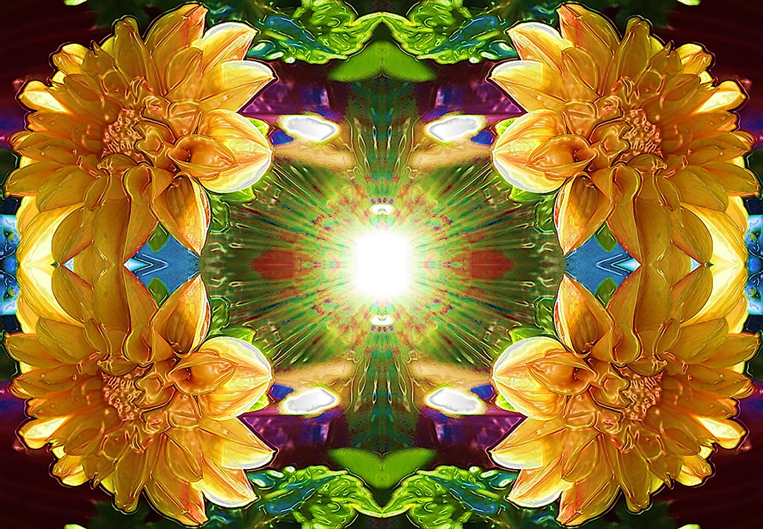 Floral Burst - Sherriehallartist