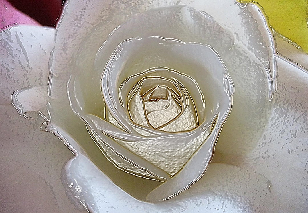 Lacquered White Rose - Sherriehallartist