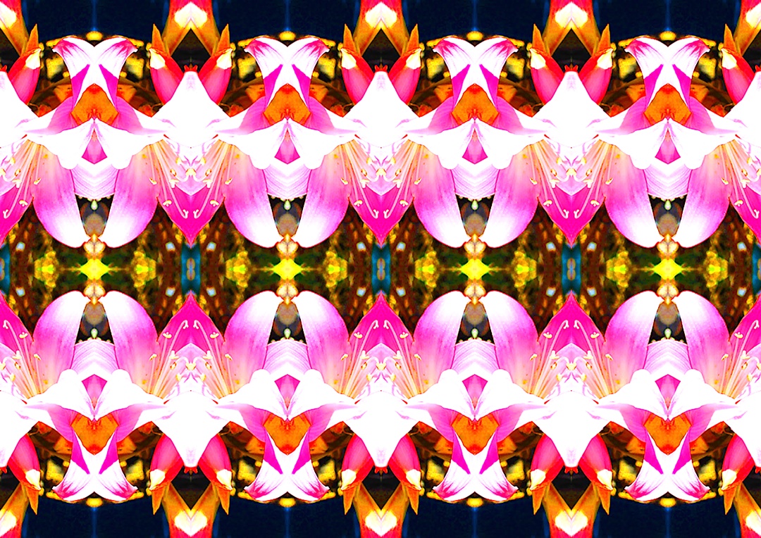 Lily Can Can - Sherriehallartist