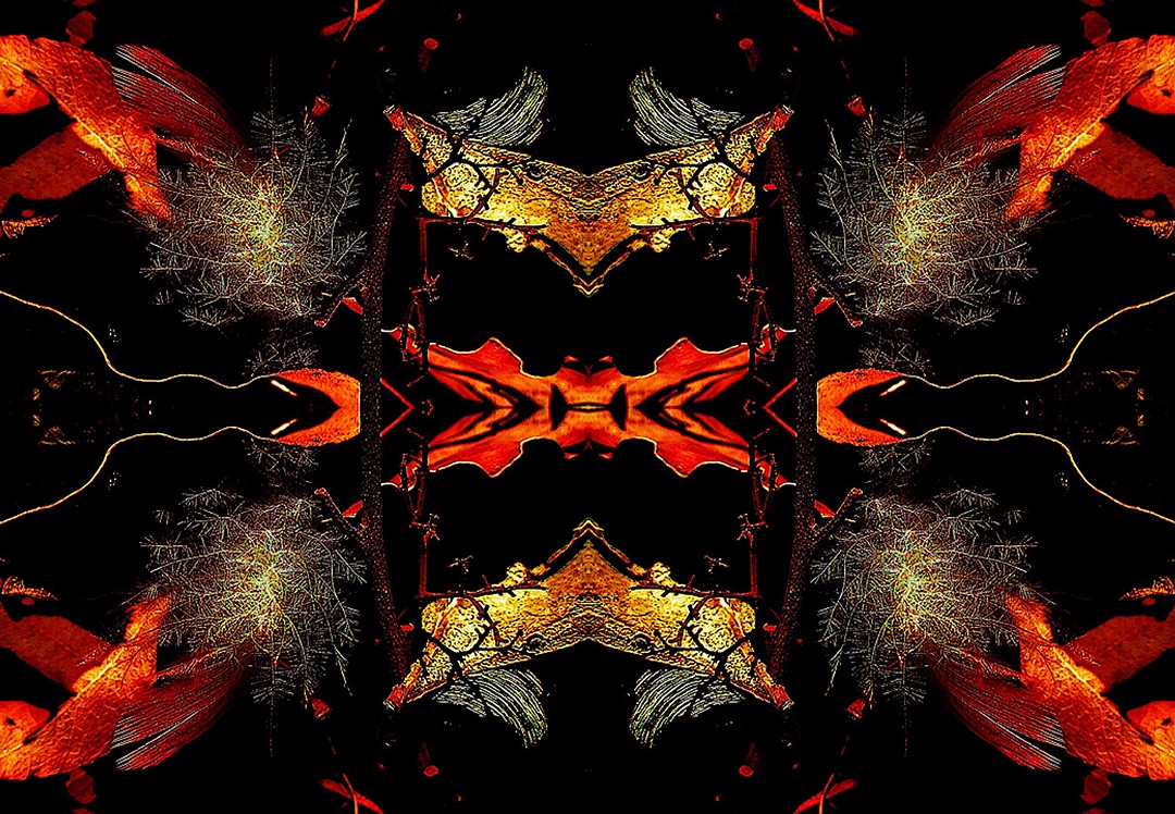 Who is Out There - Sherriehallartist