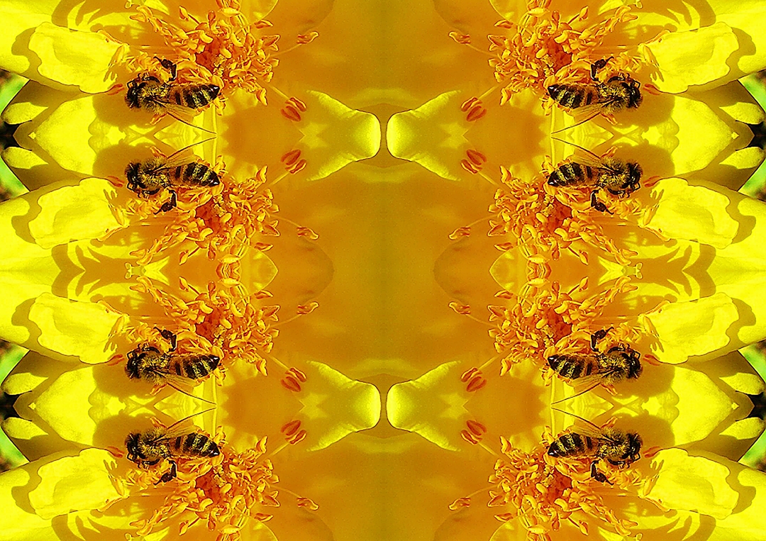 Bee Plentiful - Sherriehallartist