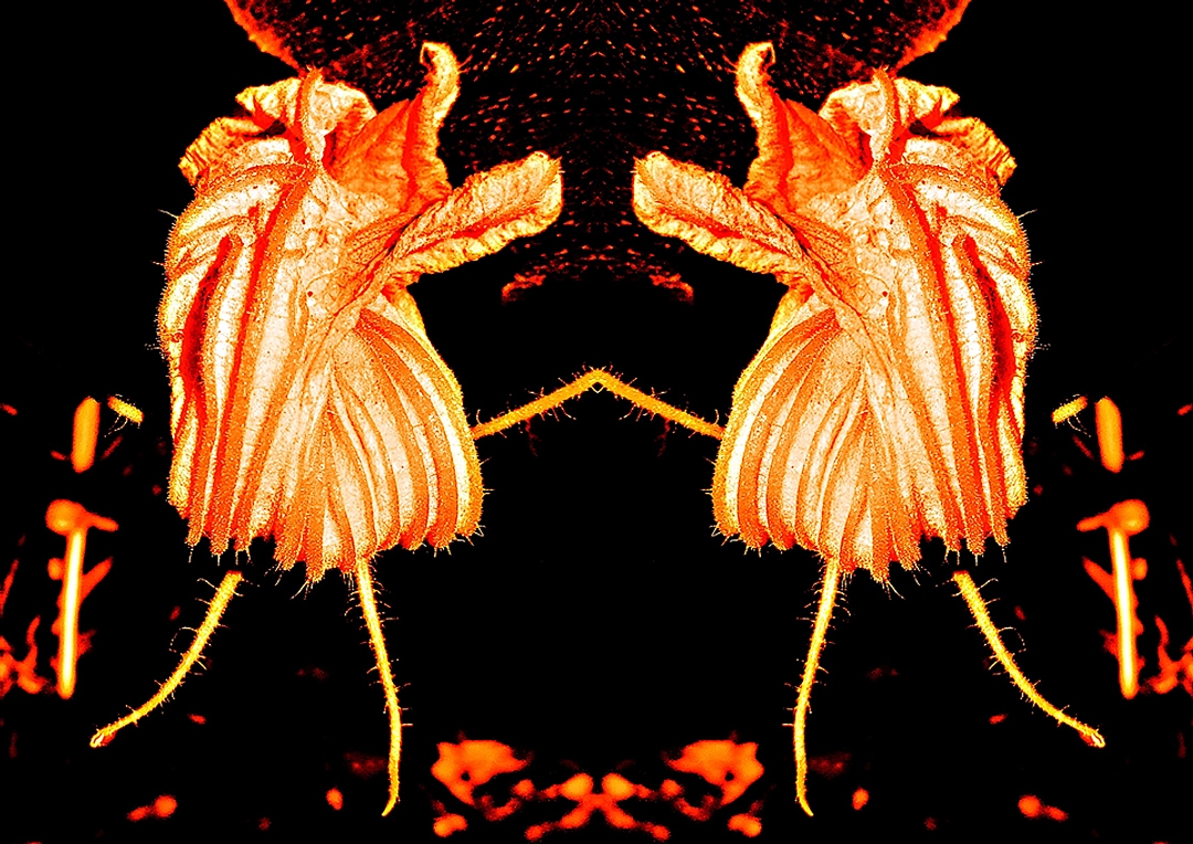 Dancing Ladies - Sherriehallartist