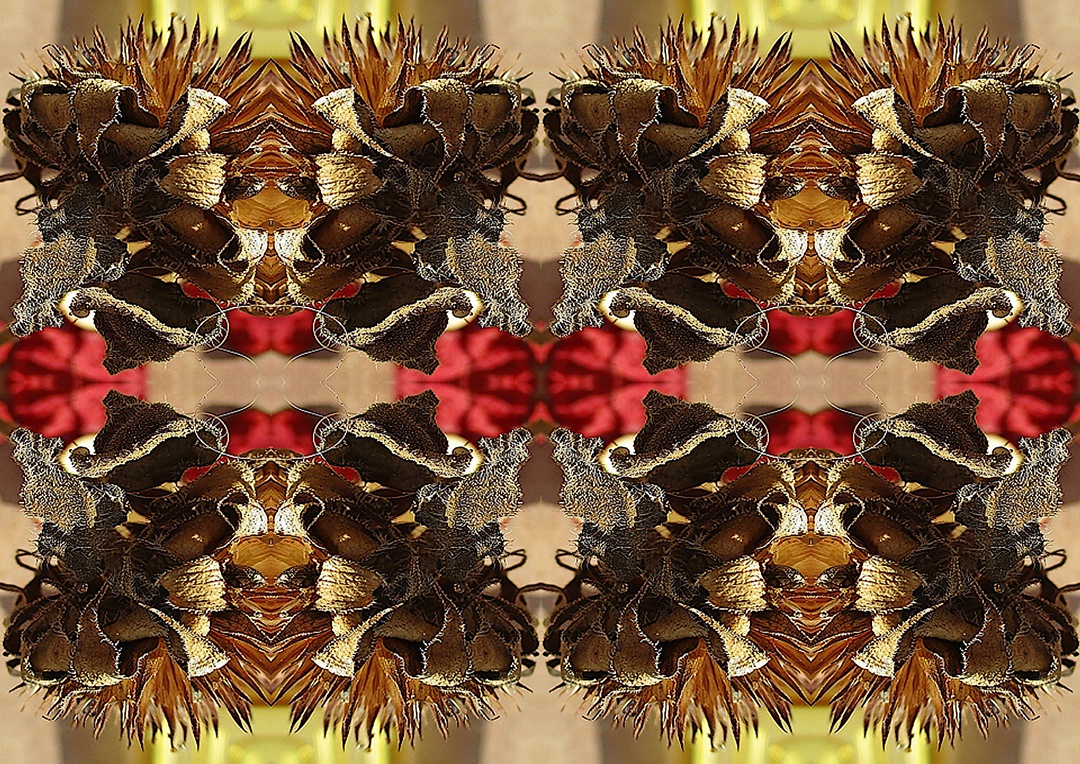 Hairy and Spiky Number Two - Sherriehallartist