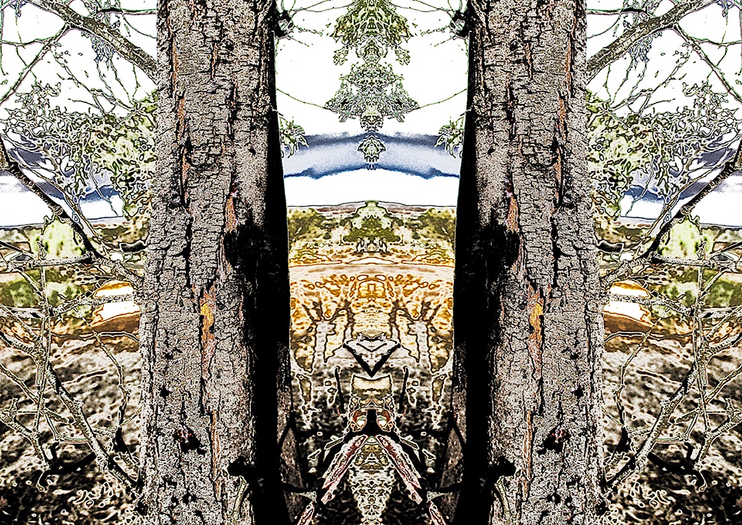 Tree for Two - Sherriehallartist