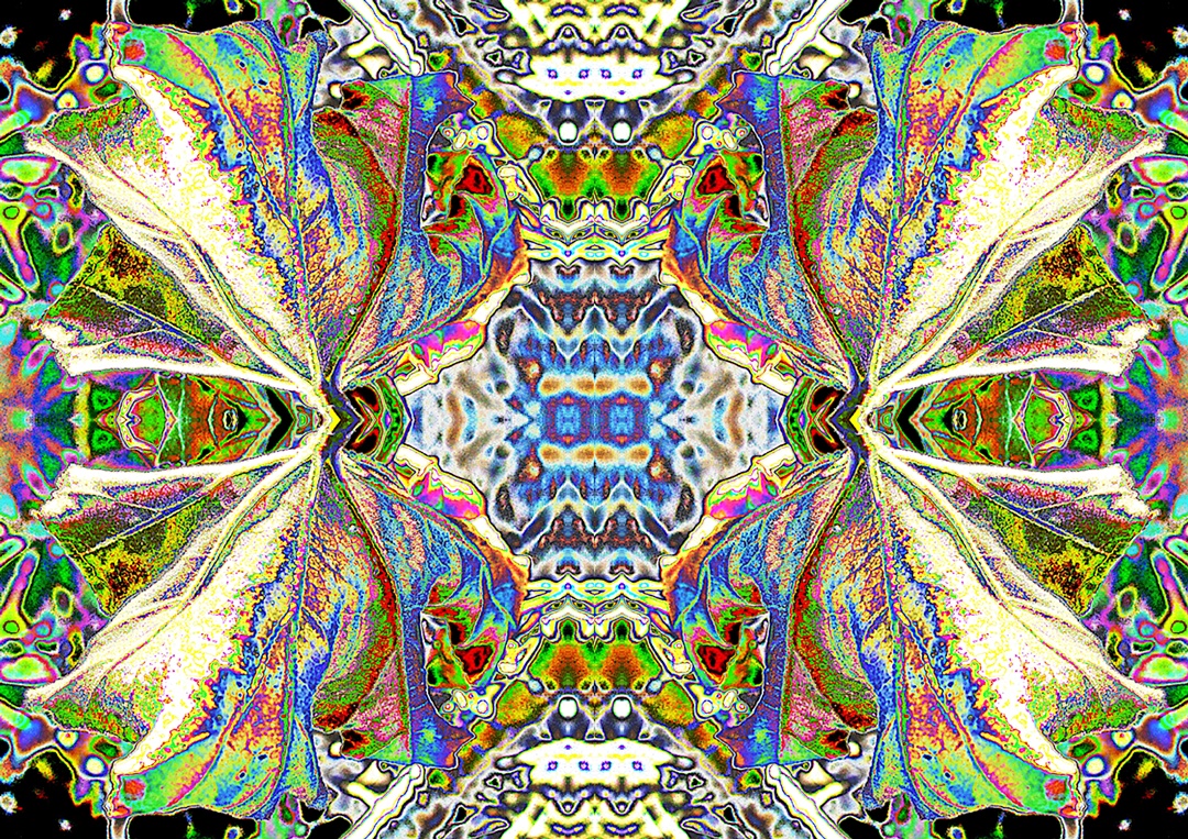 Pastel Geranium Leaf - Sherriehallartist