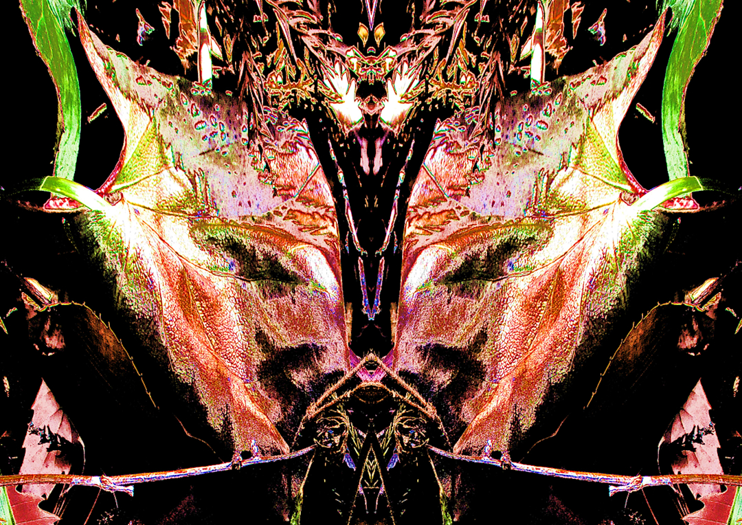 Bat Face - Sherriehallartist