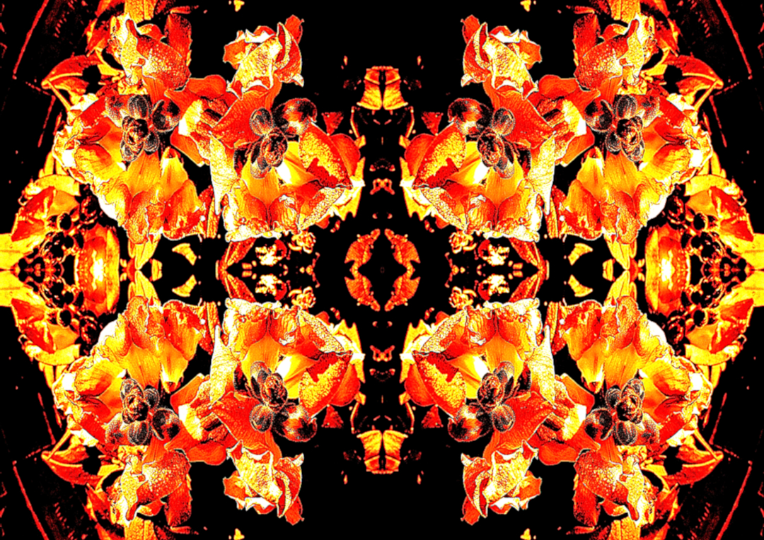 Snap the Magic Dragon - Sherriehallartist